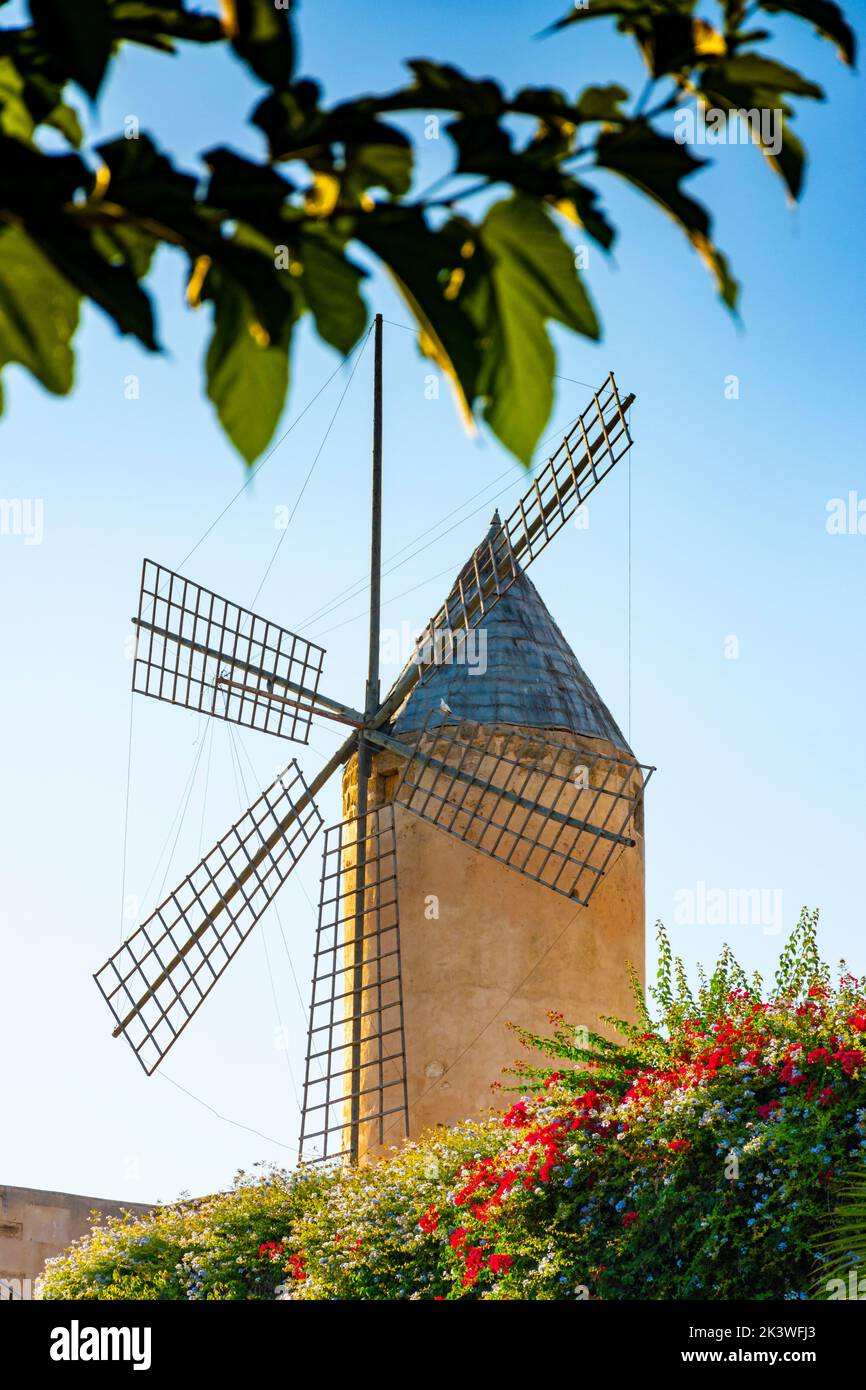 Ancient windmill of El Jonquet in old town of Palma, Mallorca, Spain ...