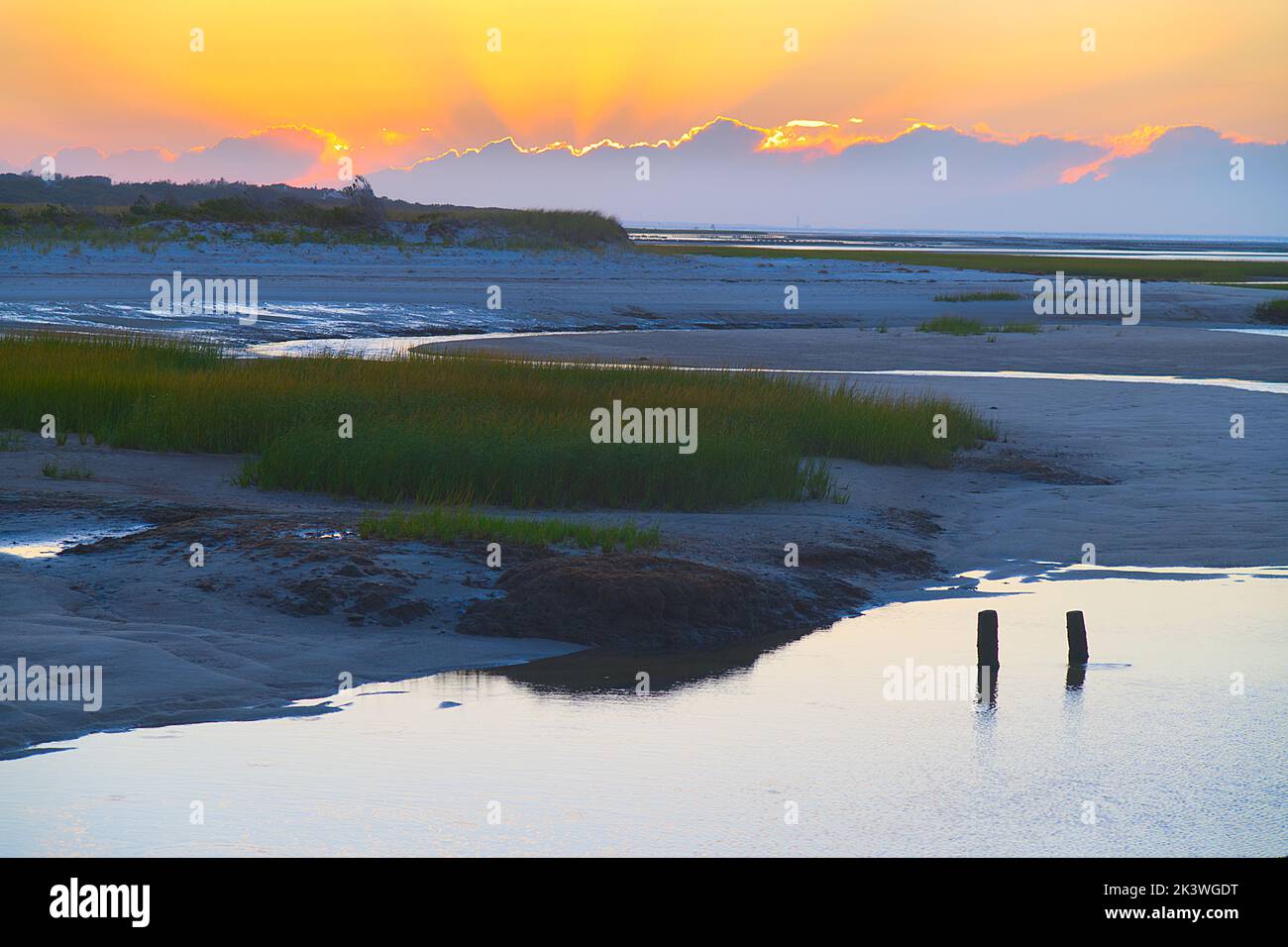 Marsh grass cape cod hi-res stock photography and images - Alamy