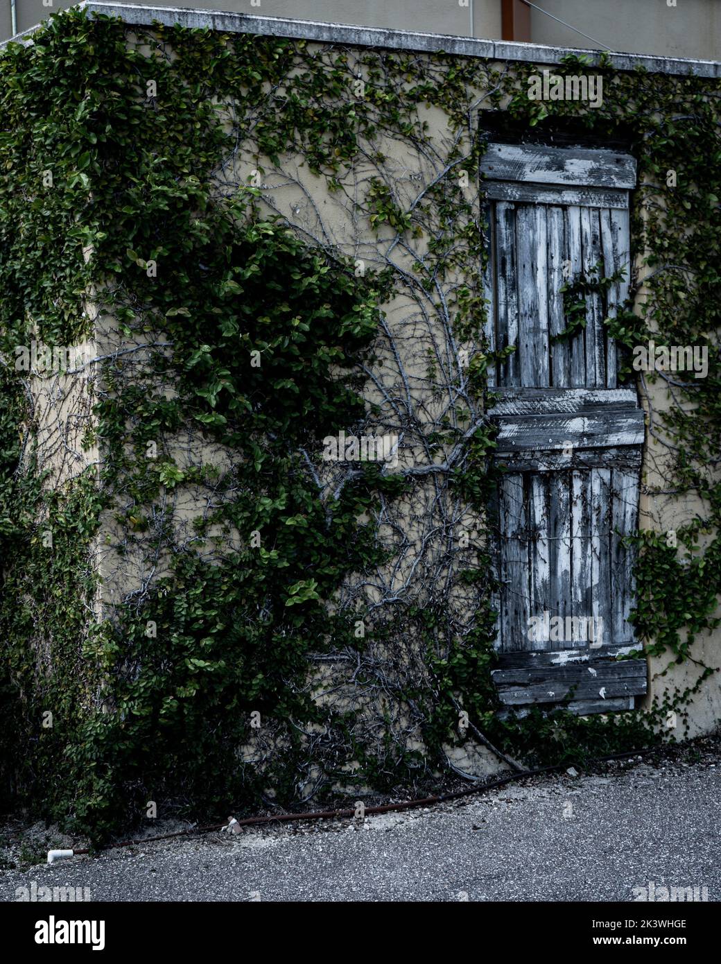 Moss grown stone wall hi-res stock photography and images - Alamy