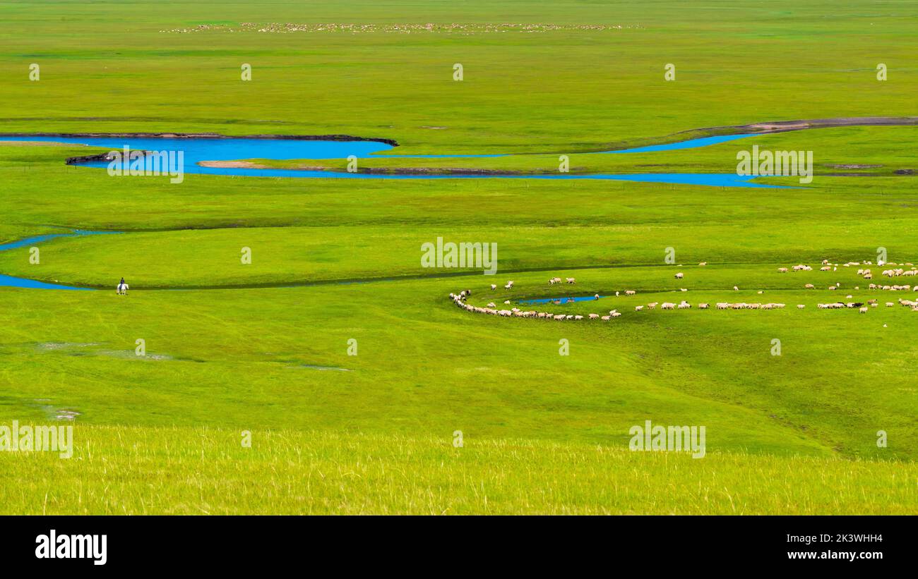 A scenic landscape of green fields with swirling rivers and cattle ...