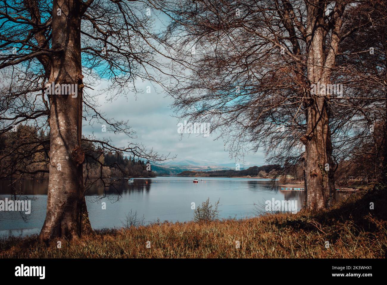 Dark sky forest park galloway hi-res stock photography and images - Alamy