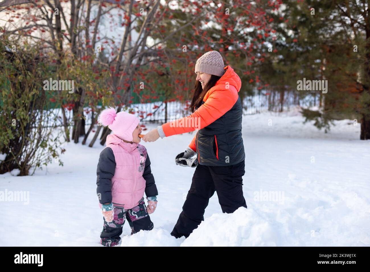 Adult with ball in its mouth hi-res stock photography and images - Alamy