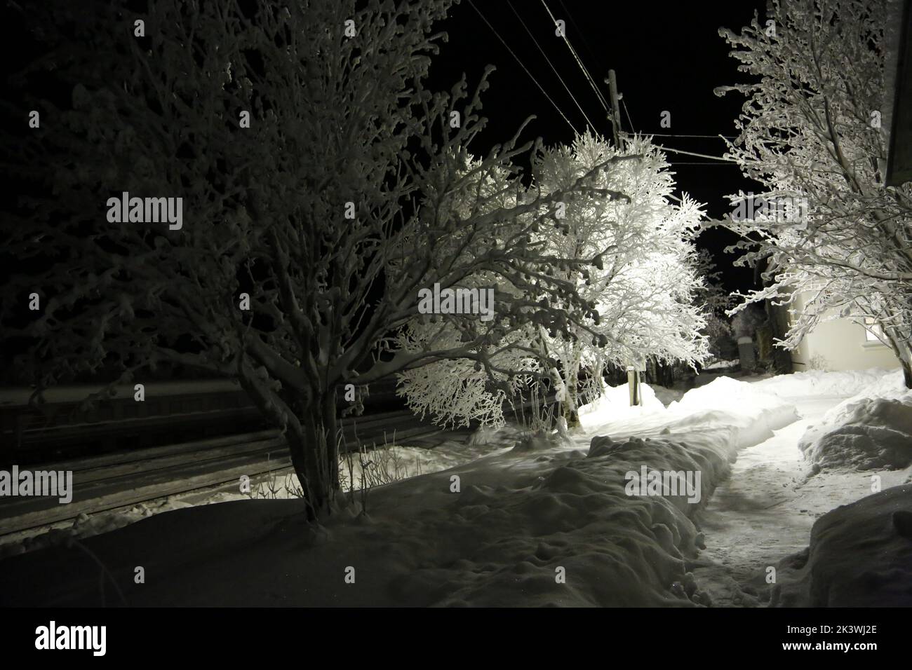 Ice-covered trees near railway station Pyayve on the world's ...