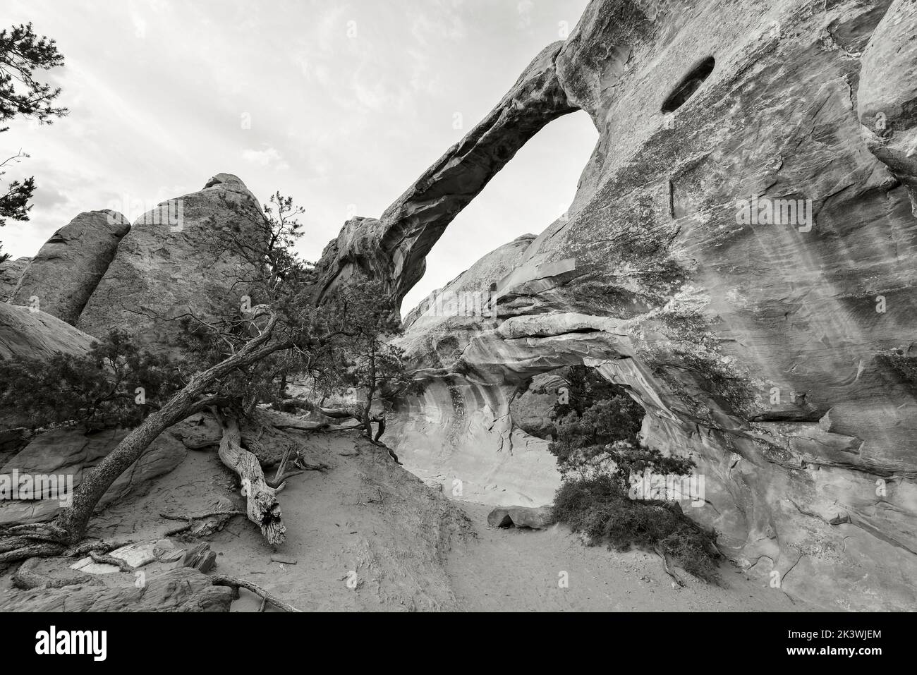 One of the many delivate natural sandstone arches shown in black and ...