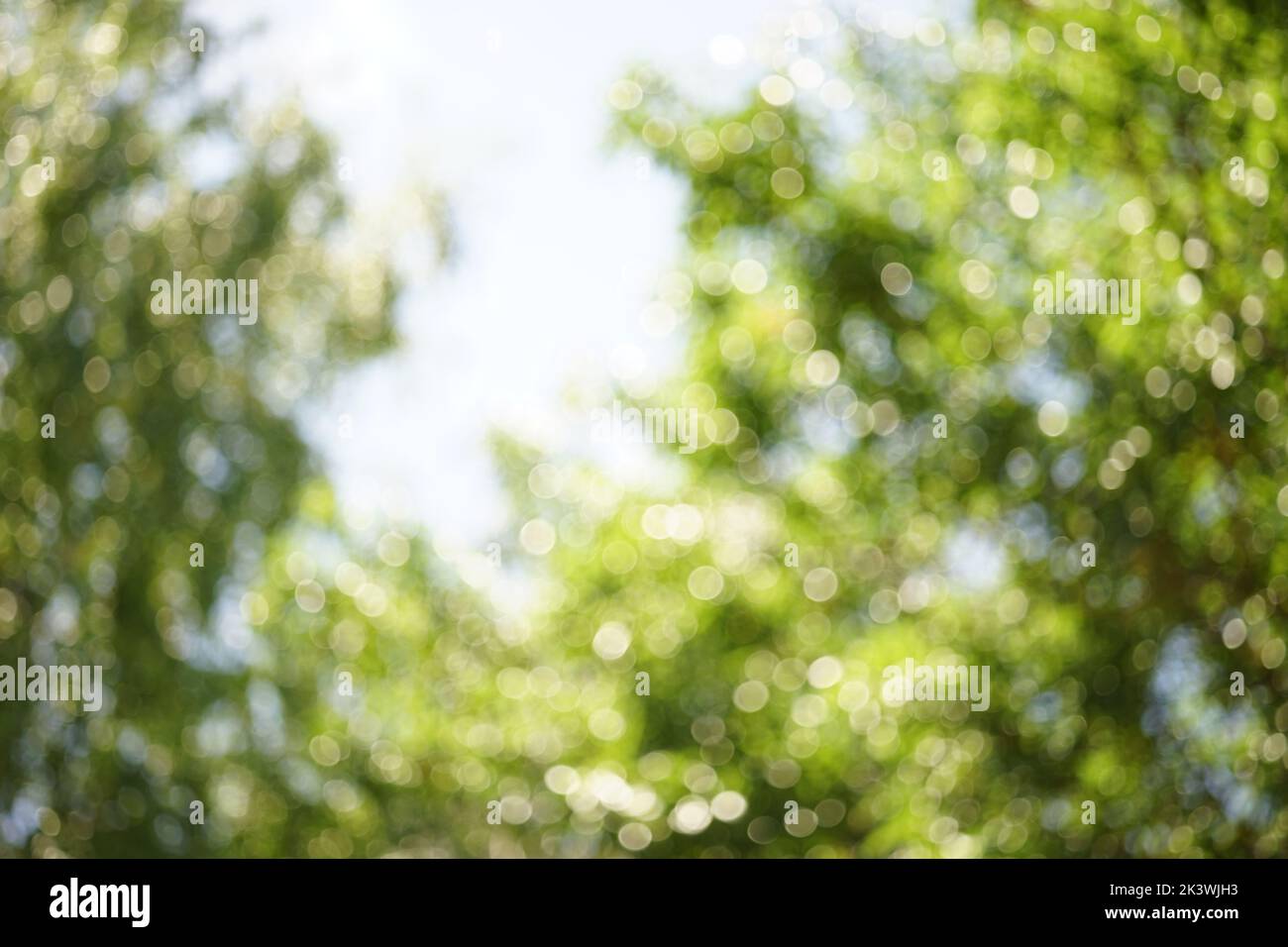 Flower trees blur background hi-res stock photography and images - Alamy