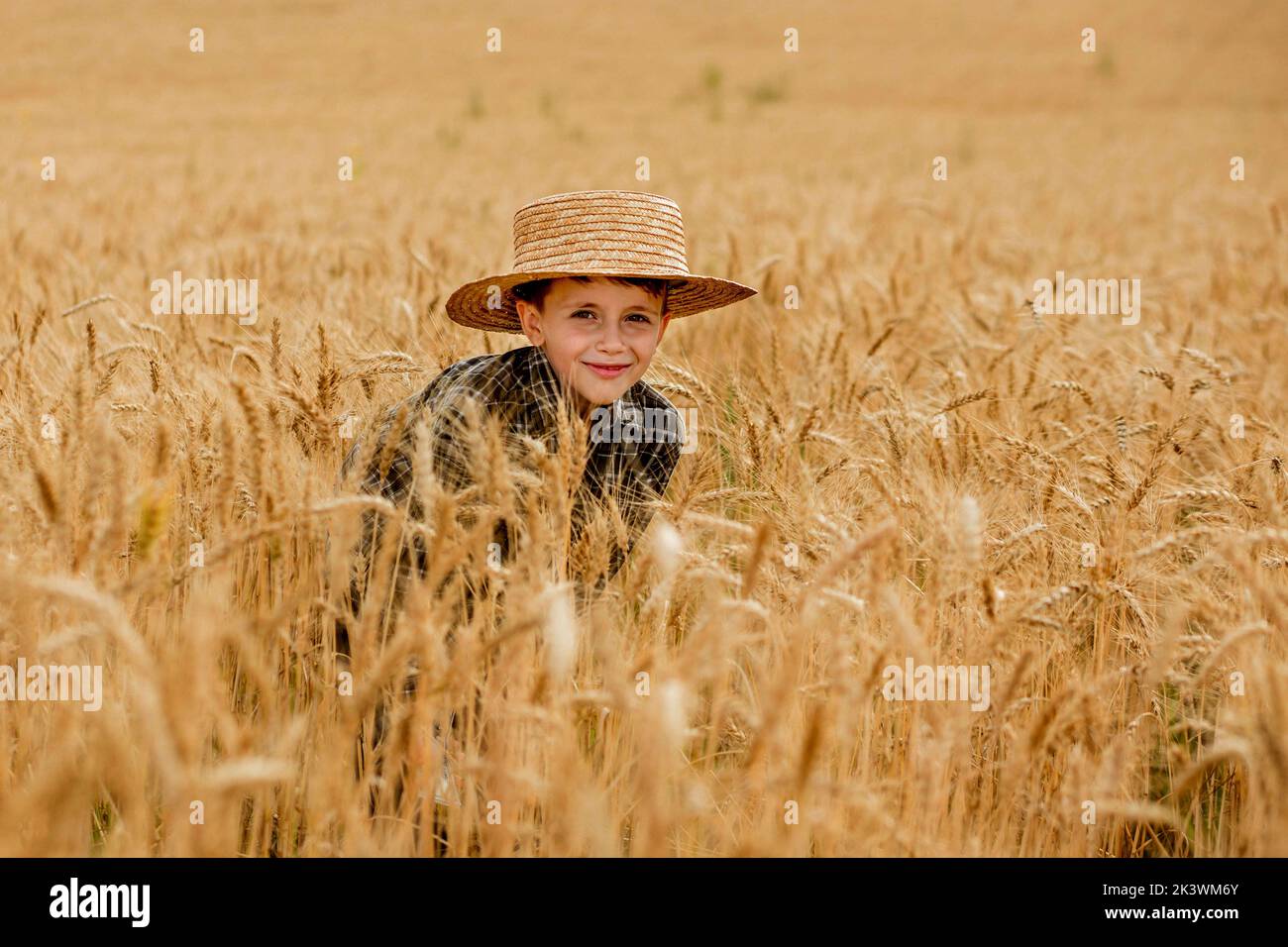 A smiling little farmer boy in a plaid shirt and straw hat poses for a ...