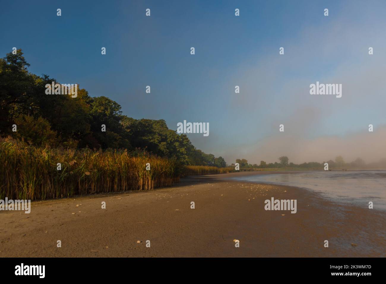 Mlynsky pond in autumn foggy morning near Lednice town in south Moravia ...