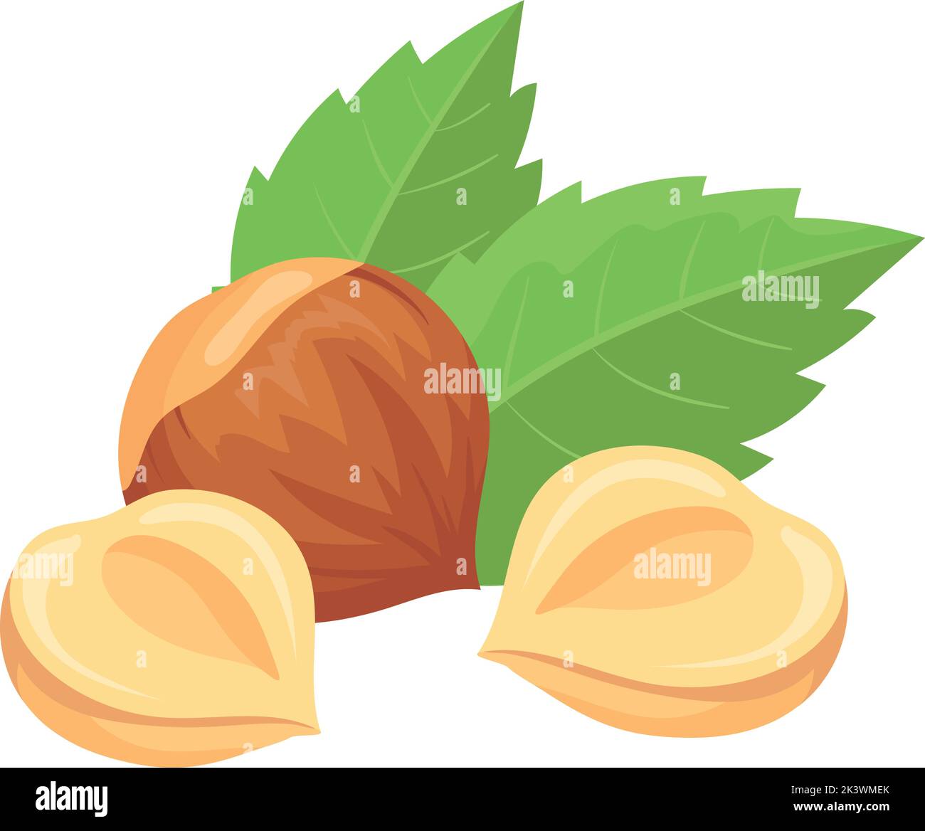 Hazelnut icon. Cartoon forest nut. Natural kernel isolated on white ... Hazelnut icon. Cartoon forest nut. Natural kernel isolated on white ...