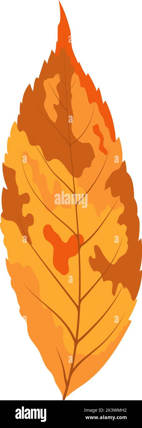 Autumn ash-tree leaf. Leaf fall. Vector illustration Stock Vector Image ...