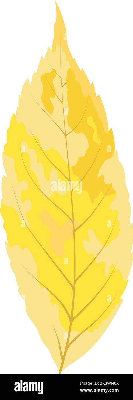 Autumn ash-tree leaf. Leaf fall. Vector illustration Stock Vector Image ...