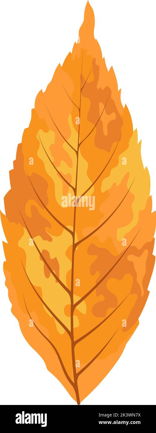 Autumn ash-tree leaf. Leaf fall. Vector illustration Stock Vector Image ...