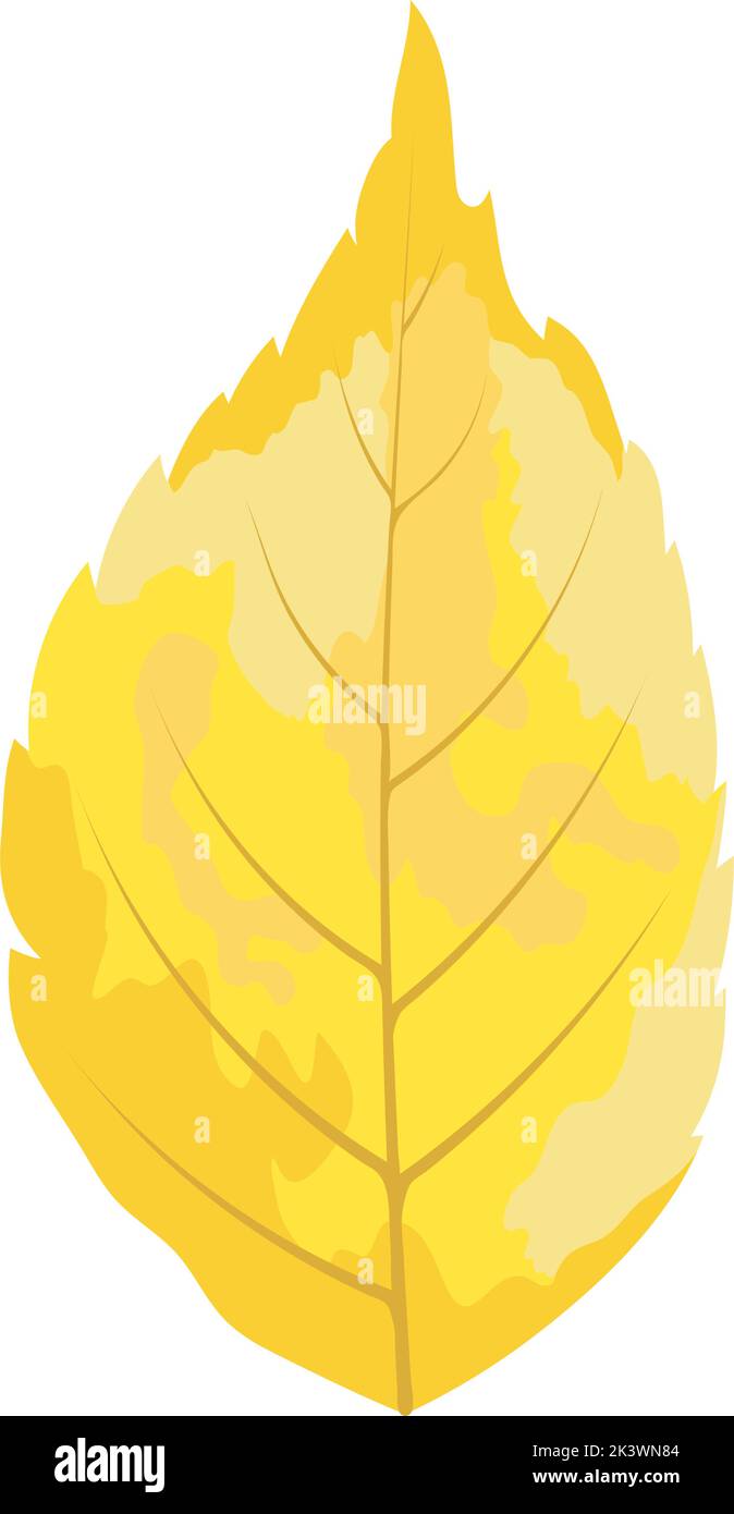 Autumn ash-tree leaf. Leaf fall. Vector illustration Stock Vector Image ...