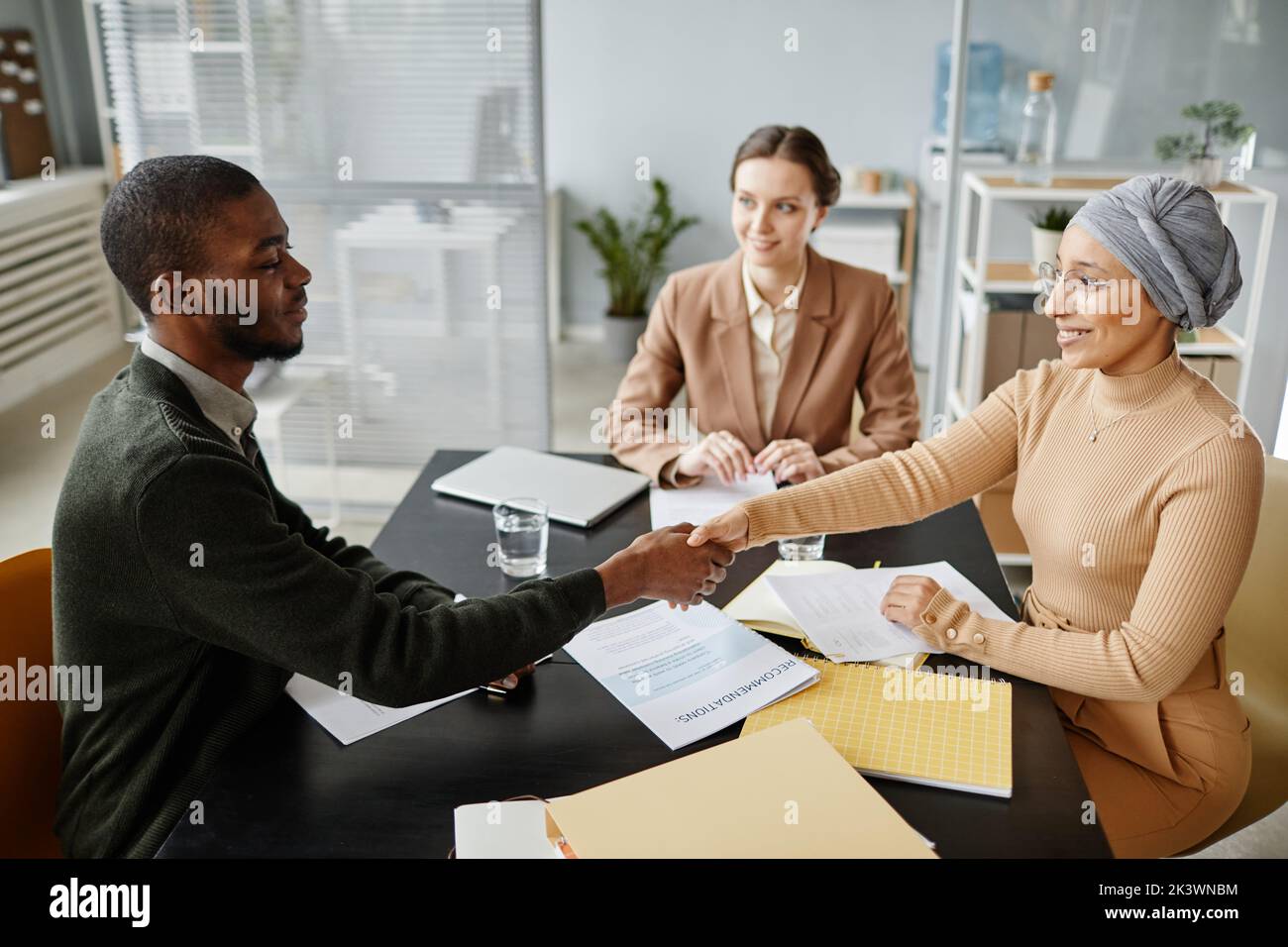 High angle view at diverse group of people in job interview shaking ...