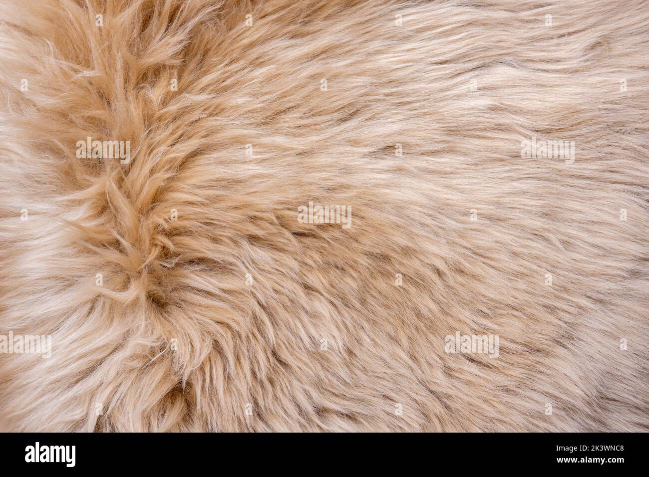 Fur texture top view. Brown fur background. Fur pattern. Texture of ...