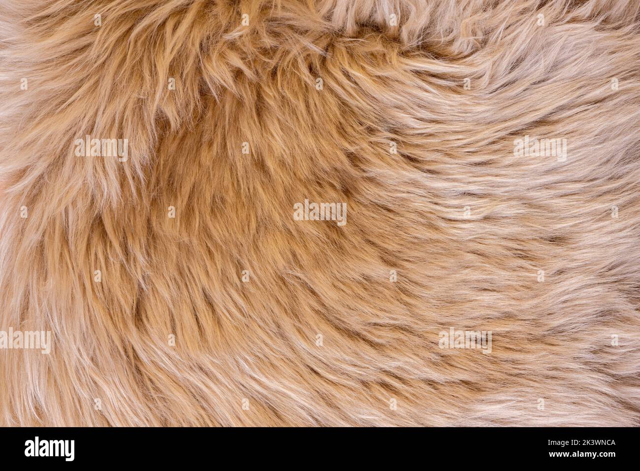 Fur texture top view. Brown fur background. Fur pattern. Texture of ...