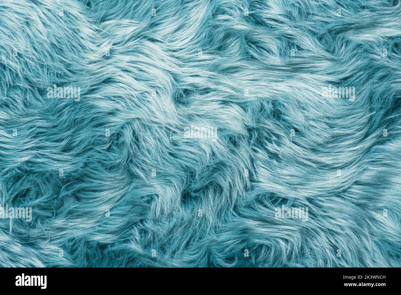 Fur texture top view. Turquoise fur background. Fur pattern. Texture of ...