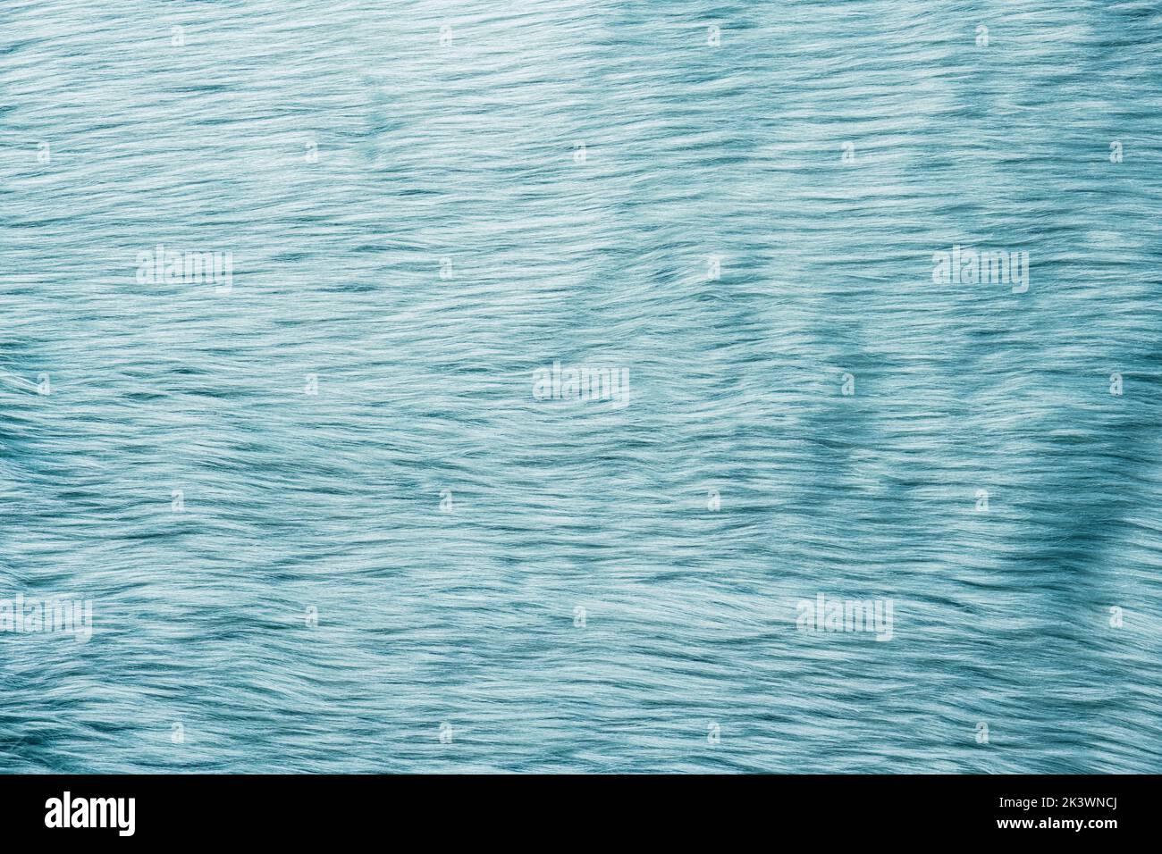 Fur texture top view. Turquoise fur background. Fur pattern. Texture of ...