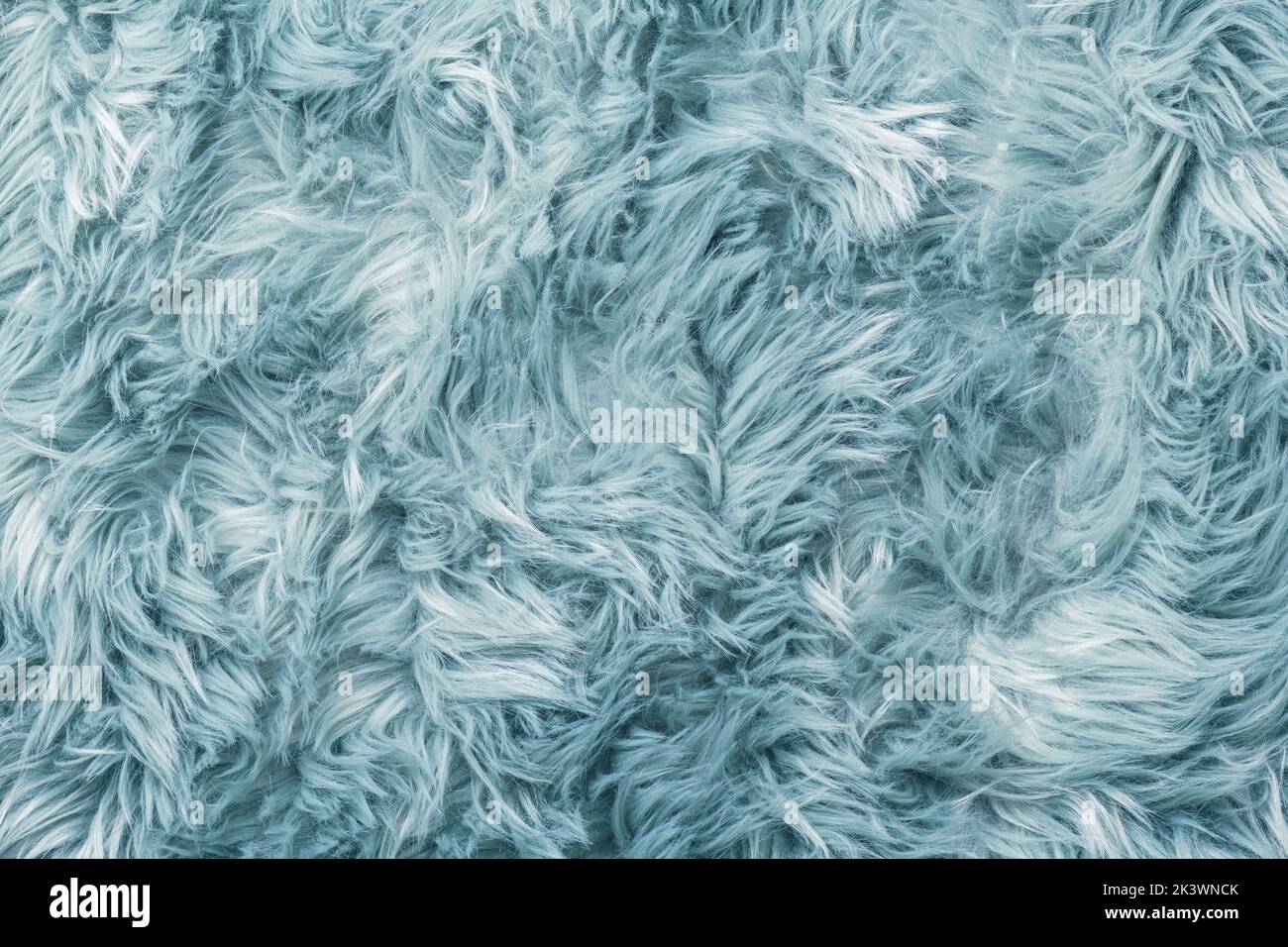 Fur texture top view. Blue fur background. Fur pattern. Texture of ...