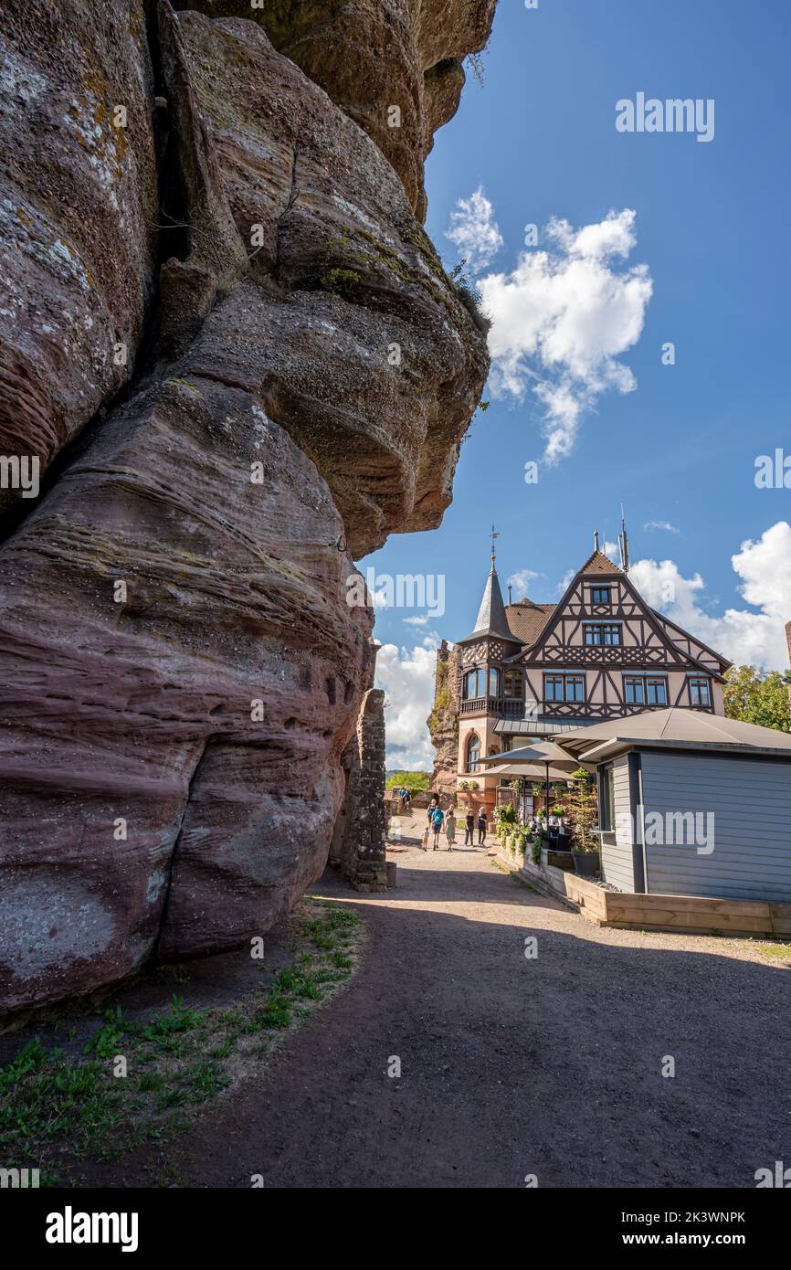 View of Haut-Barr Castle and the Alsace plain Stock Photo - Alamy