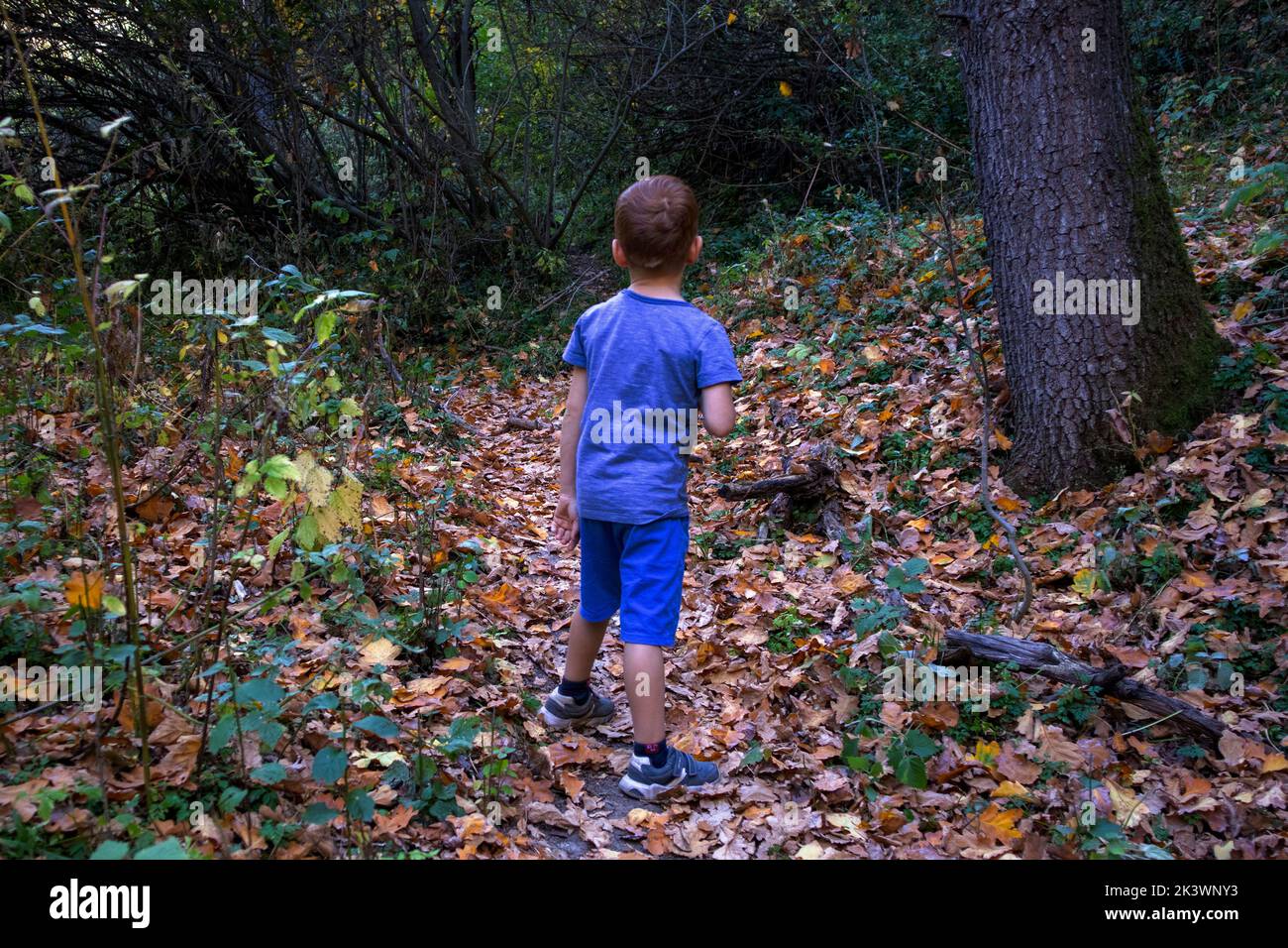 Orientation wood children hi-res stock photography and images - Alamy