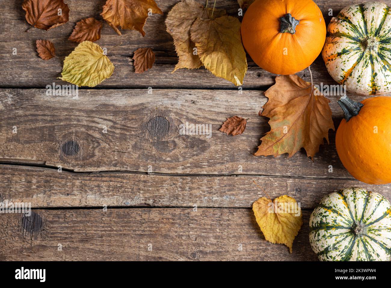 Autumn background with pumpkins and autumn leaves. Concept of ...
