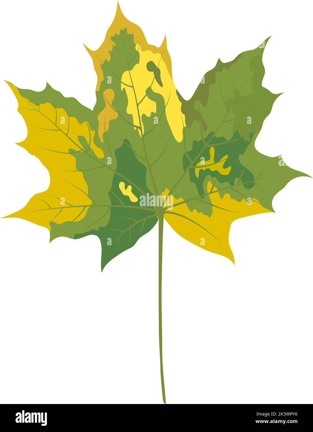 Autumn maple leaf. Leaf fall. Vector illustration Stock Vector Image ...