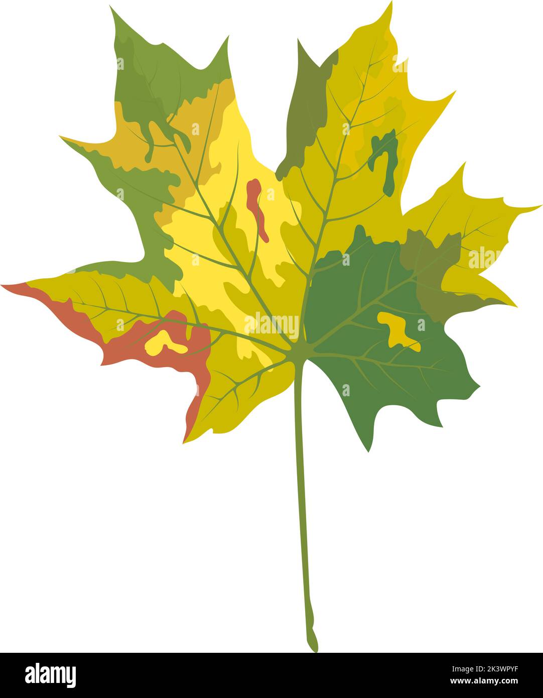 Autumn maple leaf. Leaf fall. Vector illustration Stock Vector Image ...