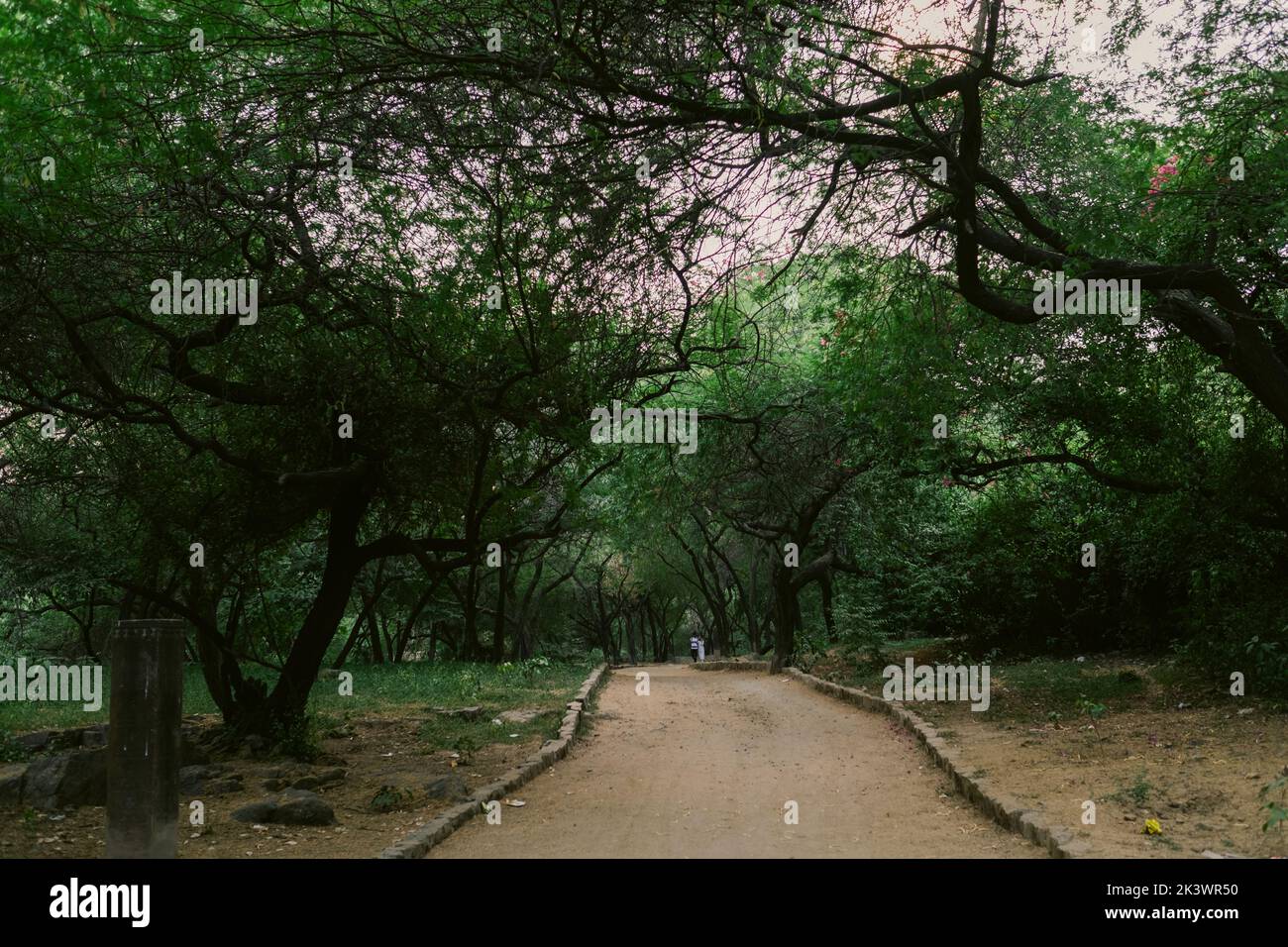 Jamali Kamali Mosque and Tomb, located in the Archaeological Village ...