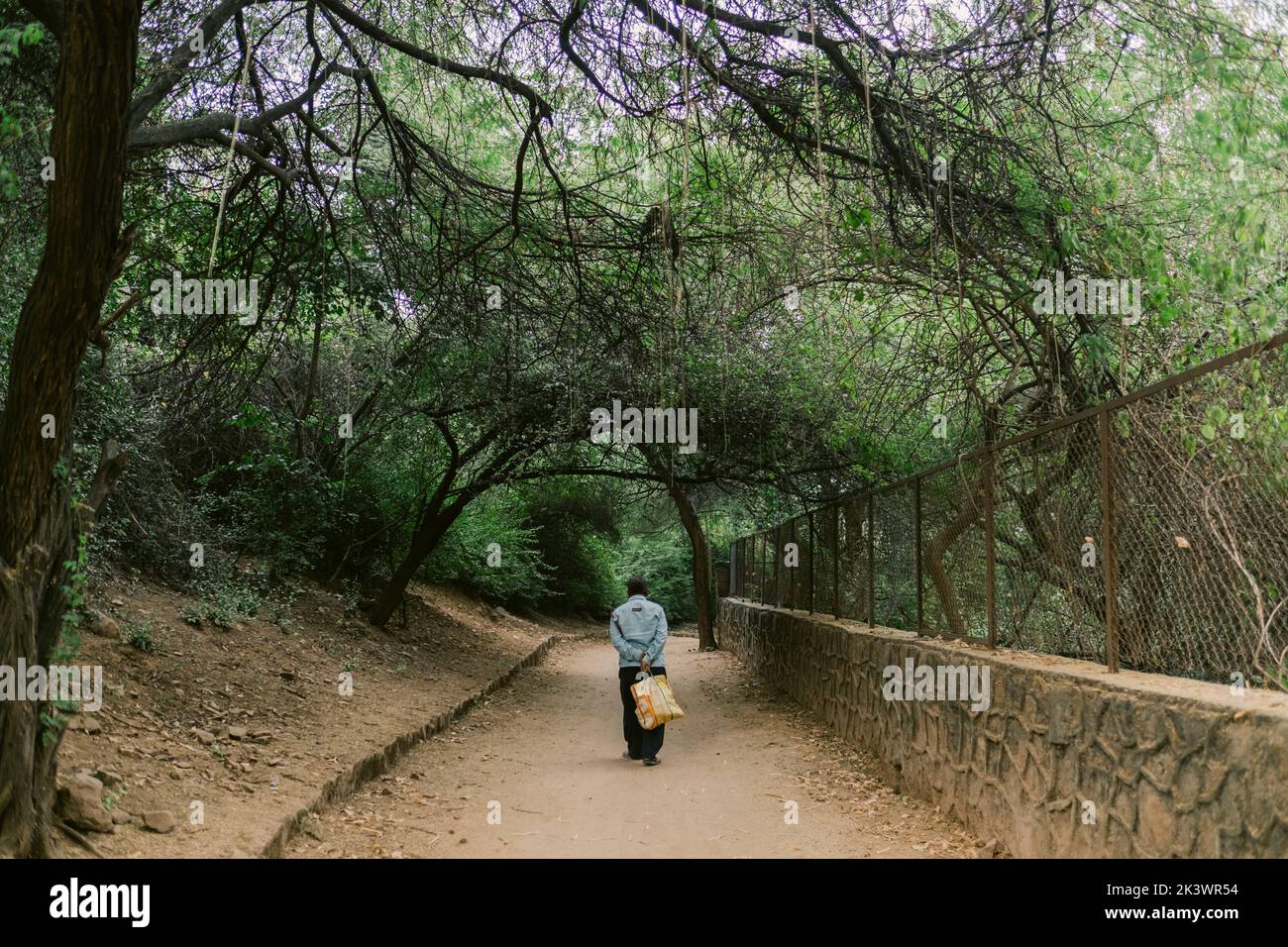 Jamali Kamali Mosque and Tomb, located in the Archaeological Village ...