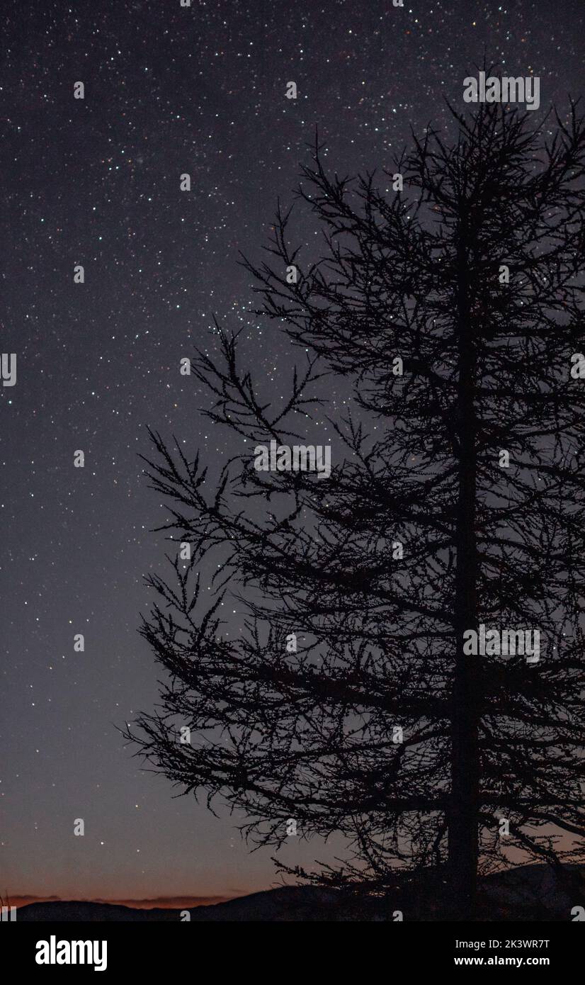 Dark sky stars galloway hi-res stock photography and images - Alamy