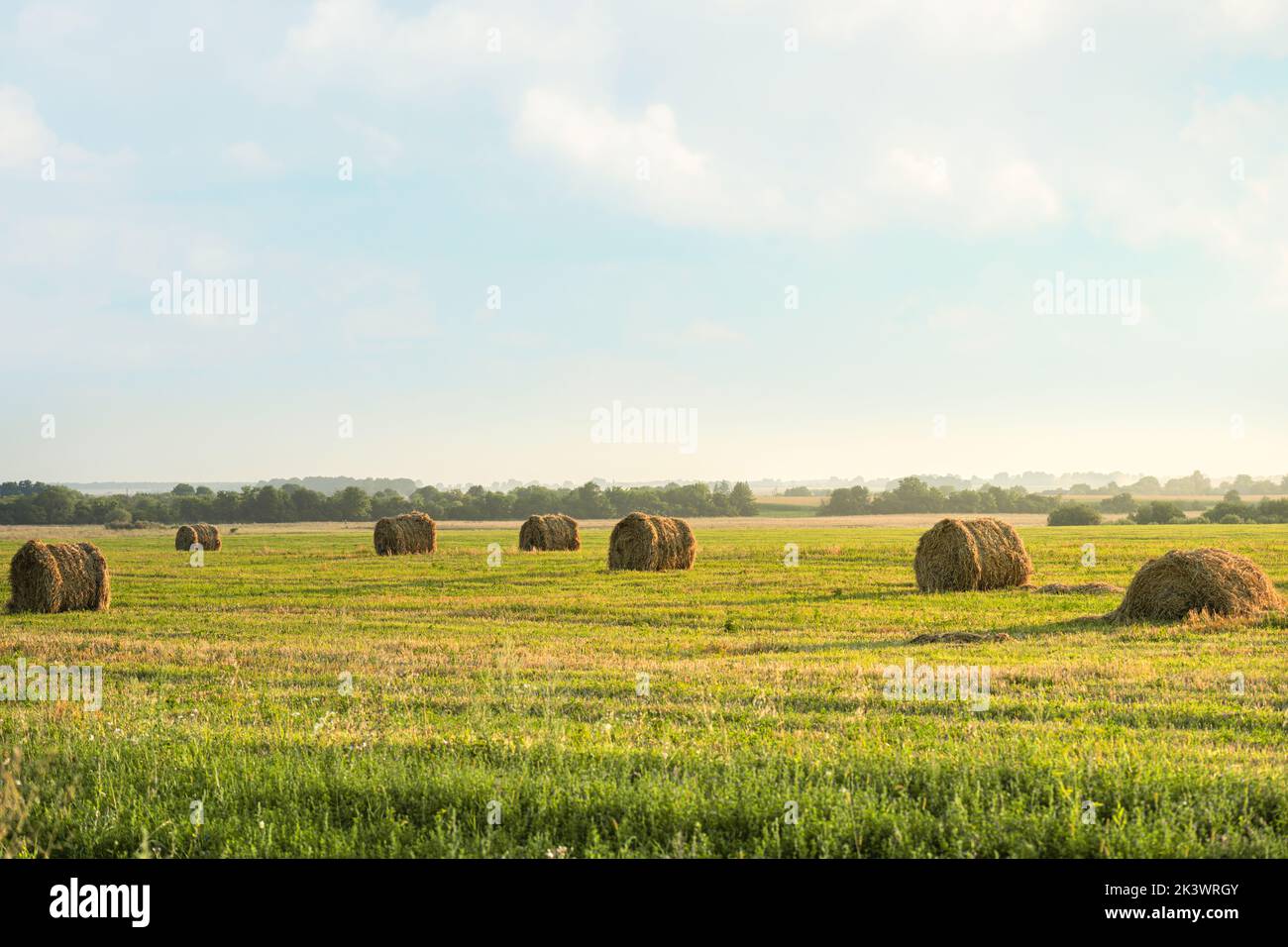 Hay bales in the sunset. Countryside natural landscape with hay bail ...