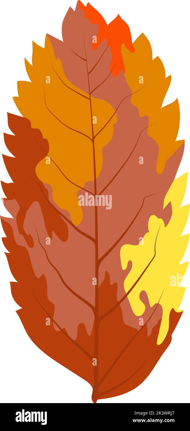 Autumn Rowan leaf. Leaf fall. Vector illustration Stock Vector Image ...