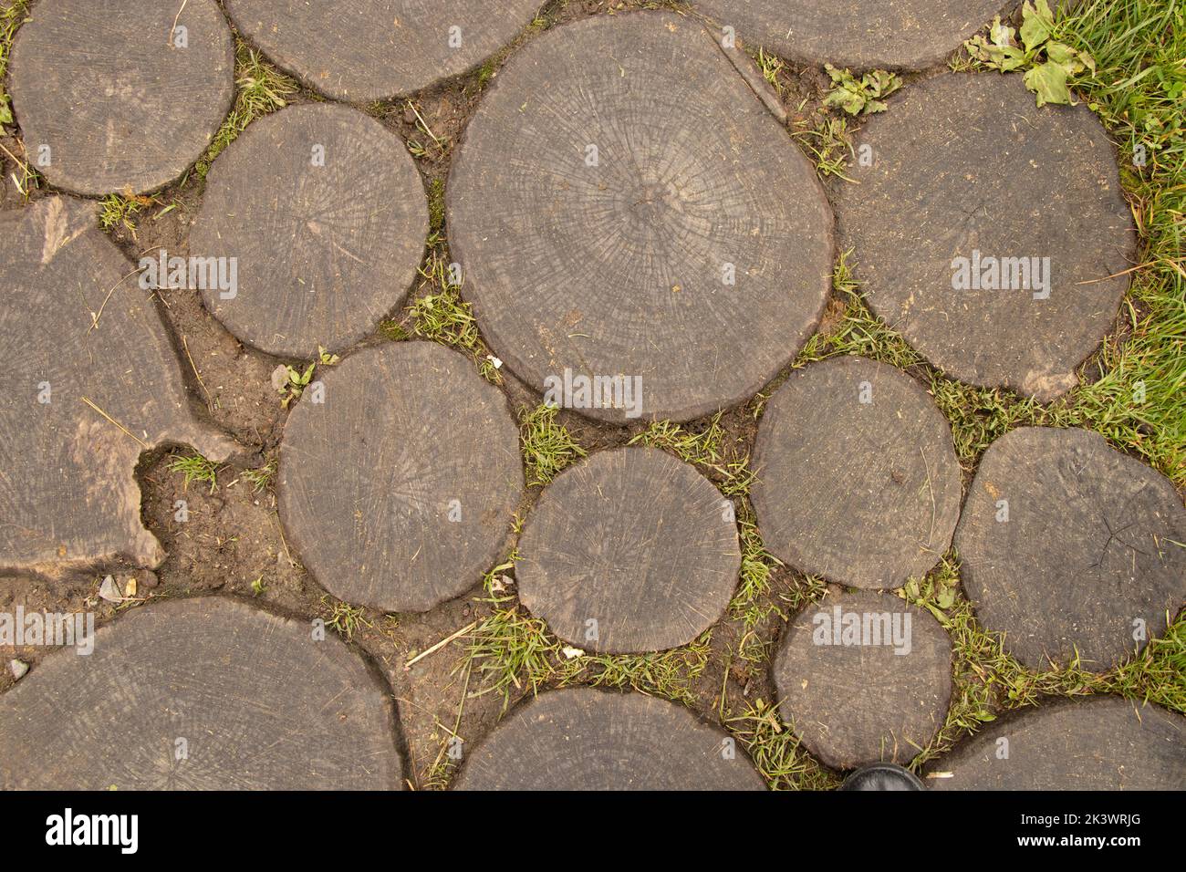 Road from wooden round logs as a background, logs Stock Photo - Alamy