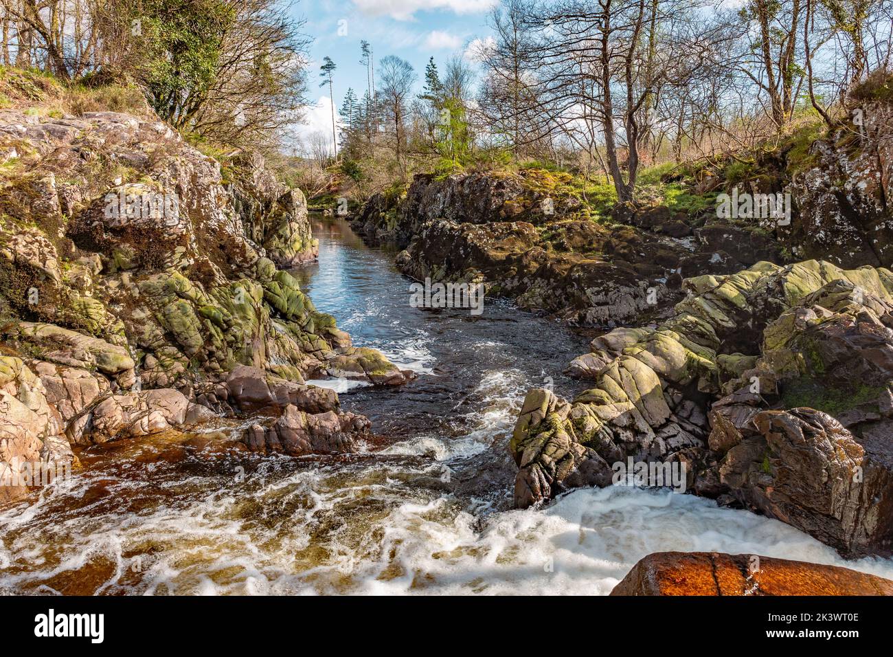Galloway Forest National Park in the day Stock Photo - Alamy