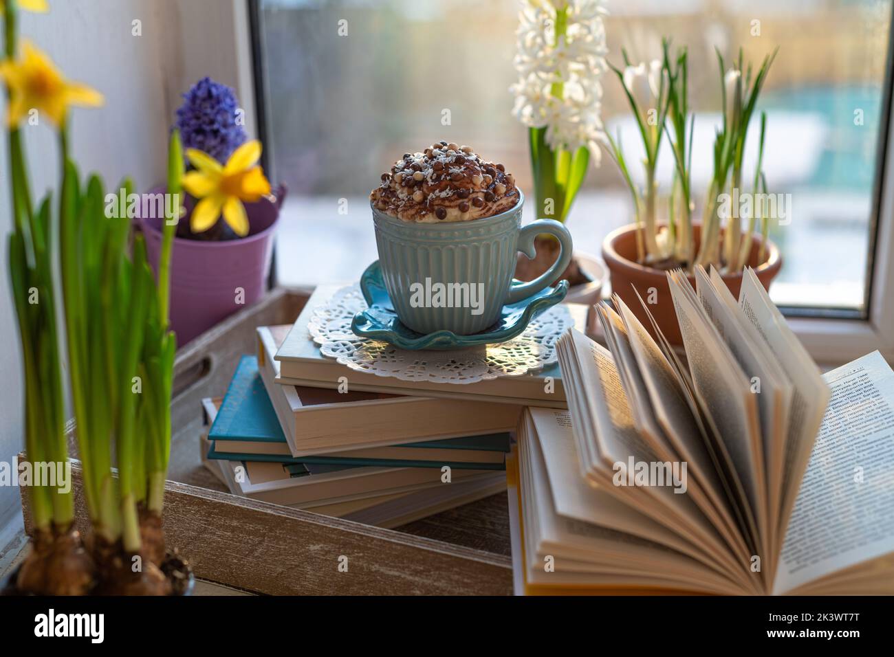 Coffee cup with whipped cream, flowers and open books on a window sill ...