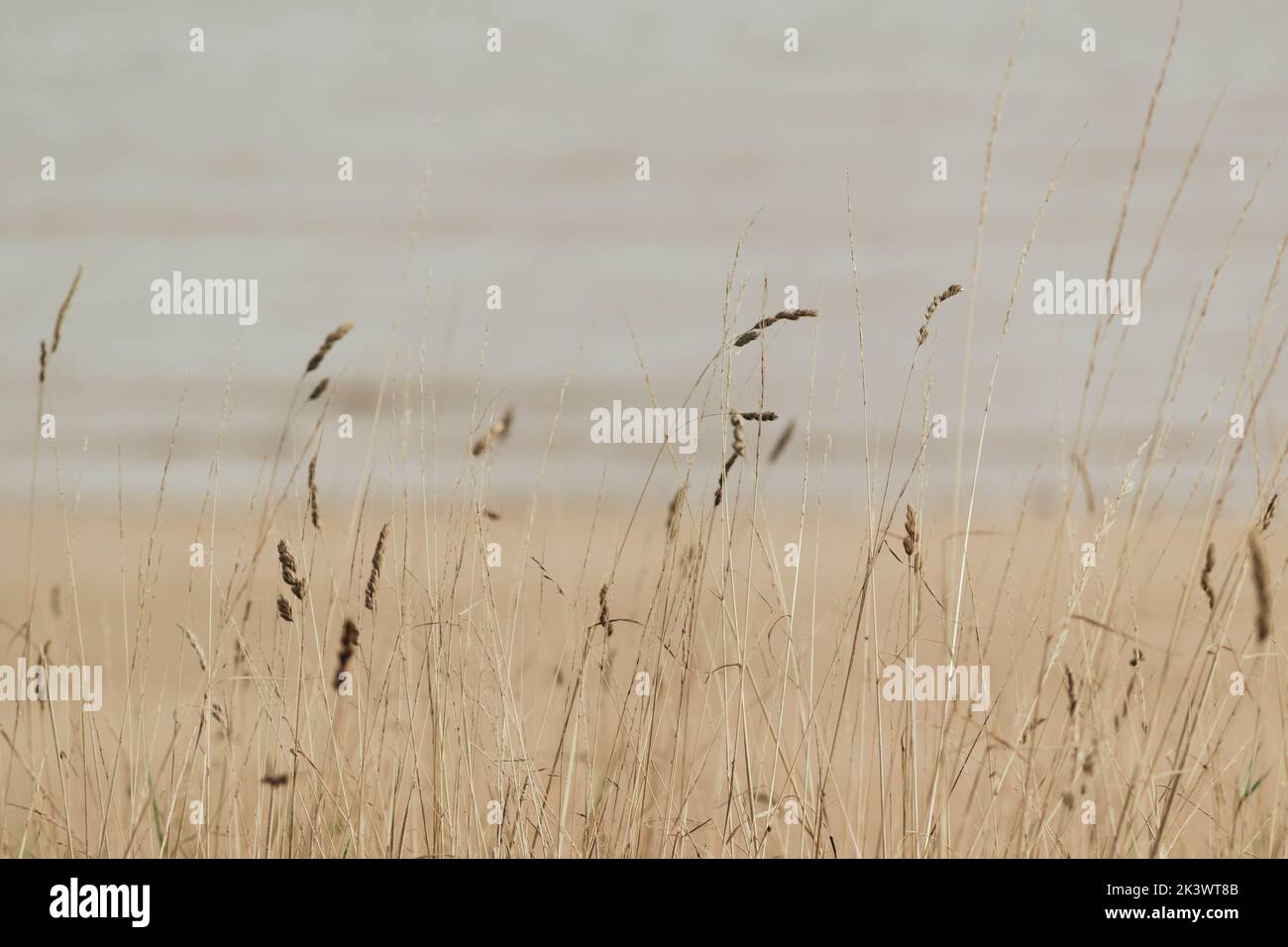 Calming colors hi-res stock photography and images - Alamy