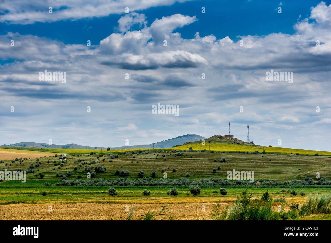 A blossom sunflower field in Romania Stock Photo - Alamy