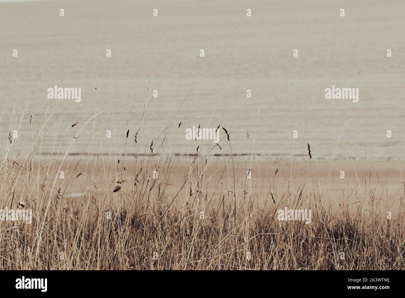 Calming art hi-res stock photography and images - Alamy