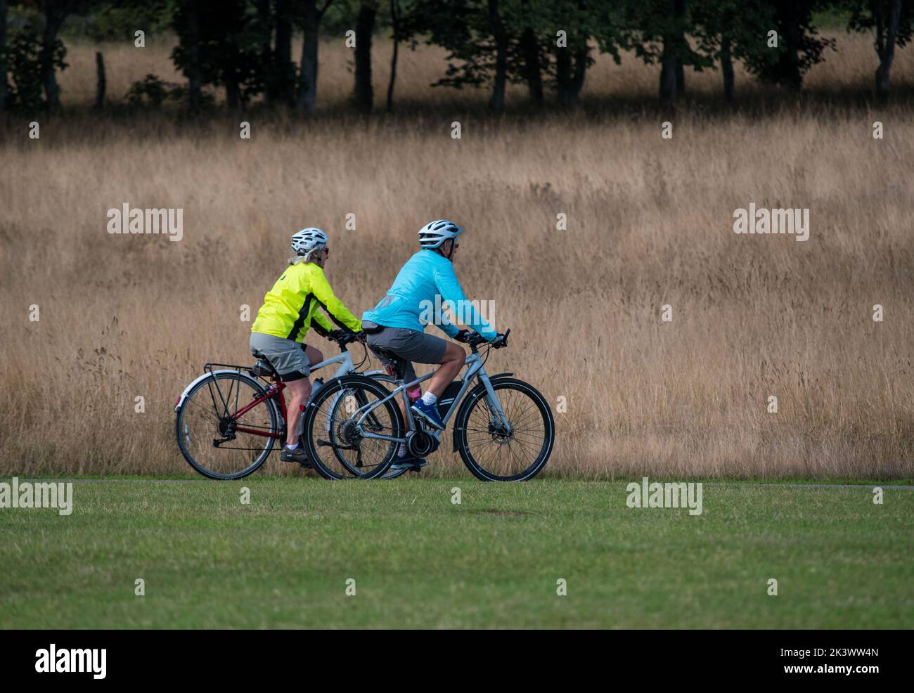 Middle aged man and woman on bicycles, cycling on the cycle path from ...