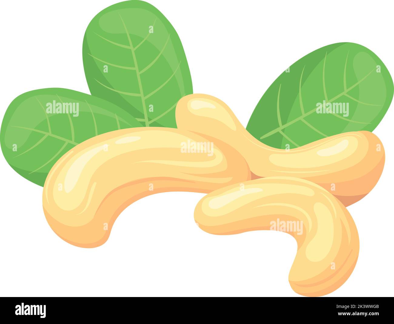 Cashew cartoon icon. Tasty snack. Healthy nut isolated on white ...