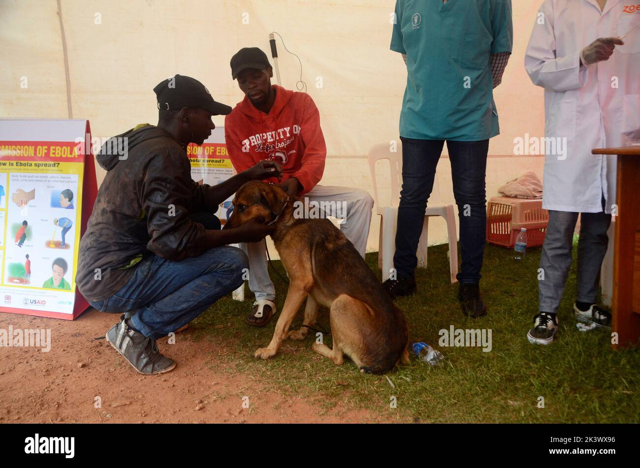 Kampala, Uganda. 28th Sep, 2022. A man holds his dog before it receives ...