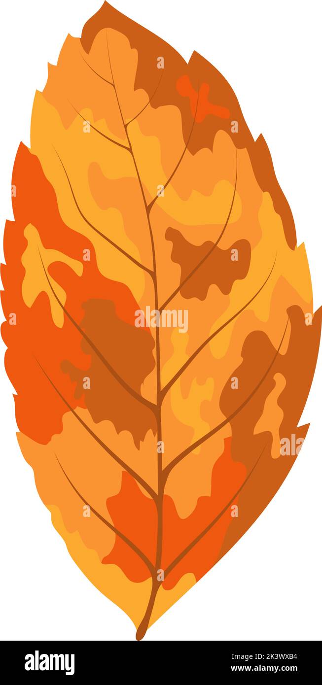 Autumn ash-tree leaf. Leaf fall. Vector illustration Stock Vector Image ...