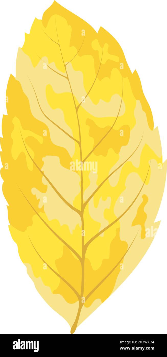 Autumn ash-tree leaf. Leaf fall. Vector illustration Stock Vector Image ...