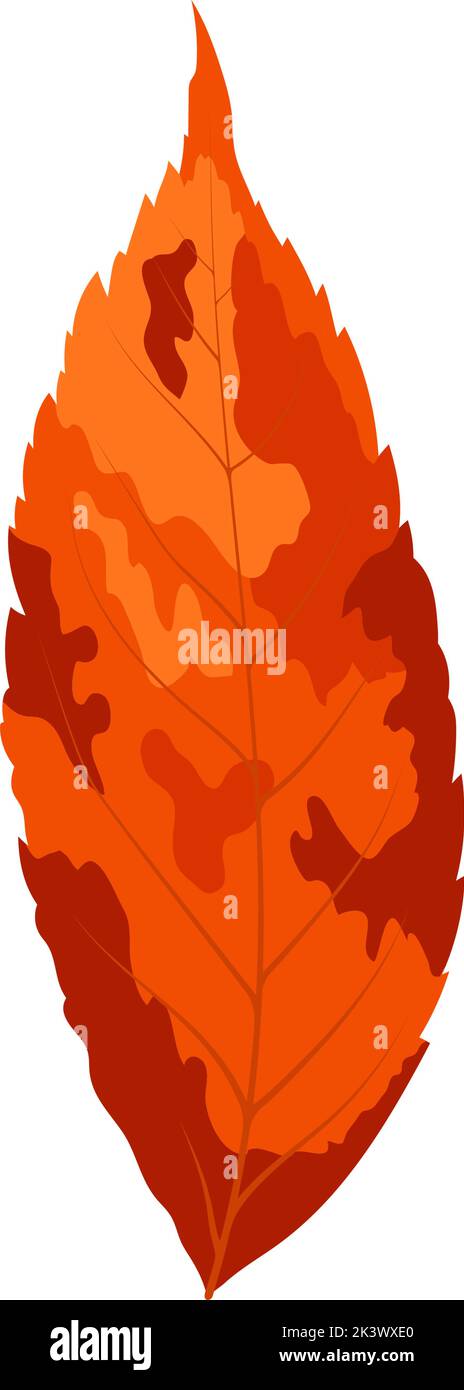 Autumn ash-tree leaf. Leaf fall. Vector illustration Stock Vector Image ...