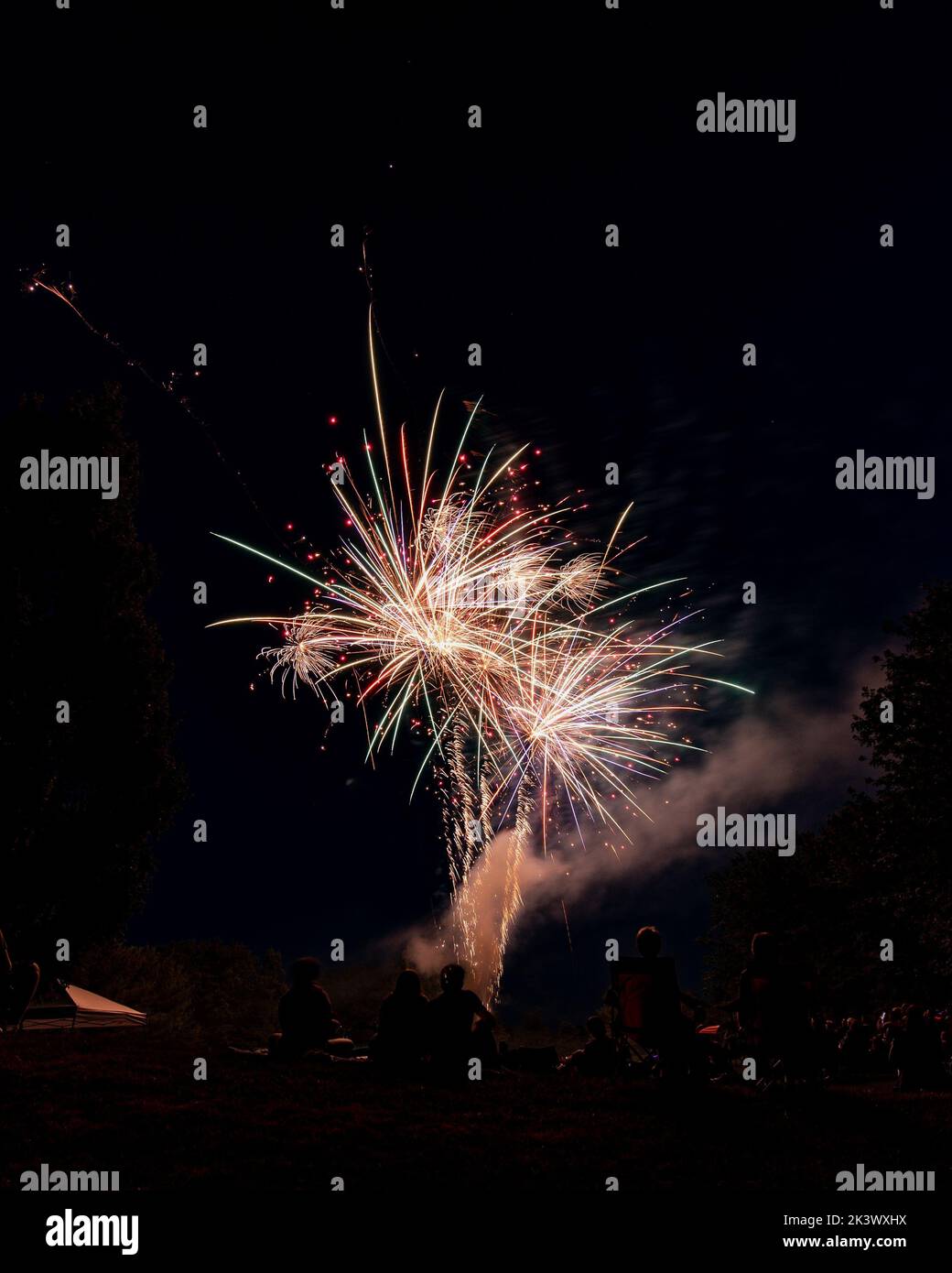 A vertical firework undershot bursting sparks in the night sky Stock ...