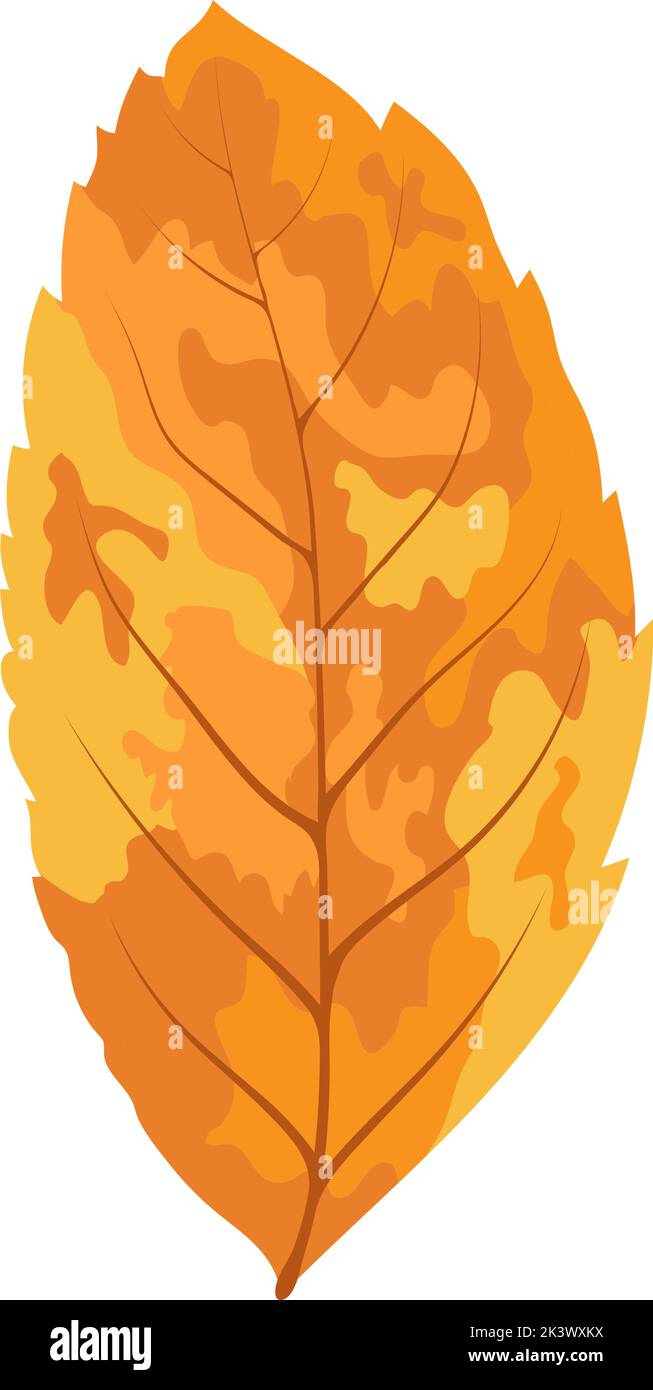 Autumn ash-tree leaf. Leaf fall. Vector illustration Stock Vector Image ...