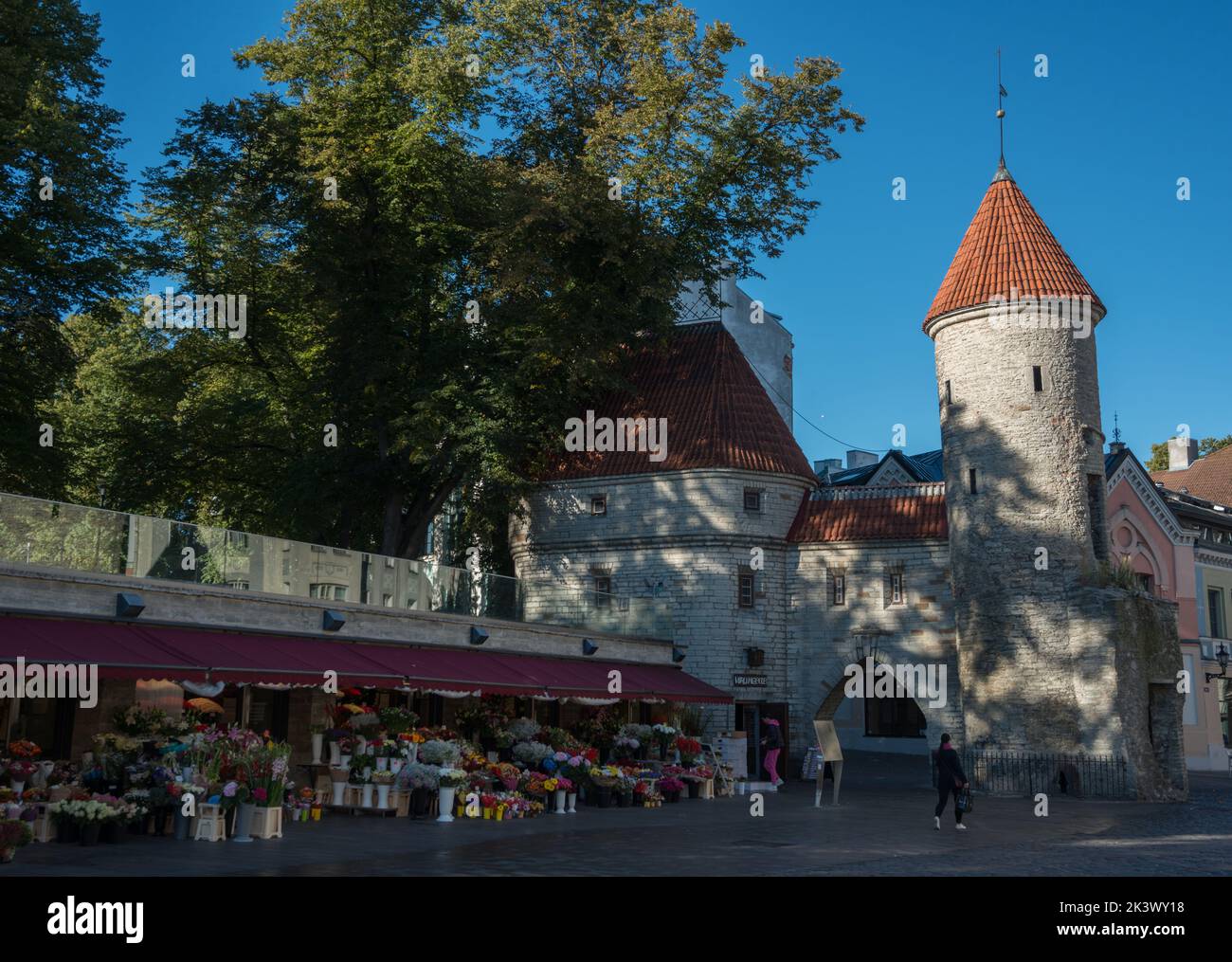 Viru varav hi-res stock photography and images - Alamy