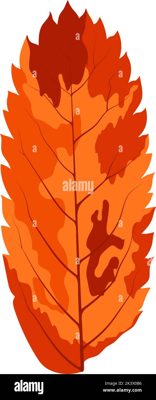 Autumn Rowan leaf. Leaf fall. Vector illustration Stock Vector Image ...