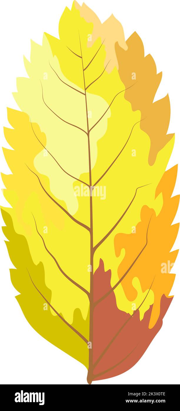 Autumn Rowan leaf. Leaf fall. Vector illustration Stock Vector Image ...