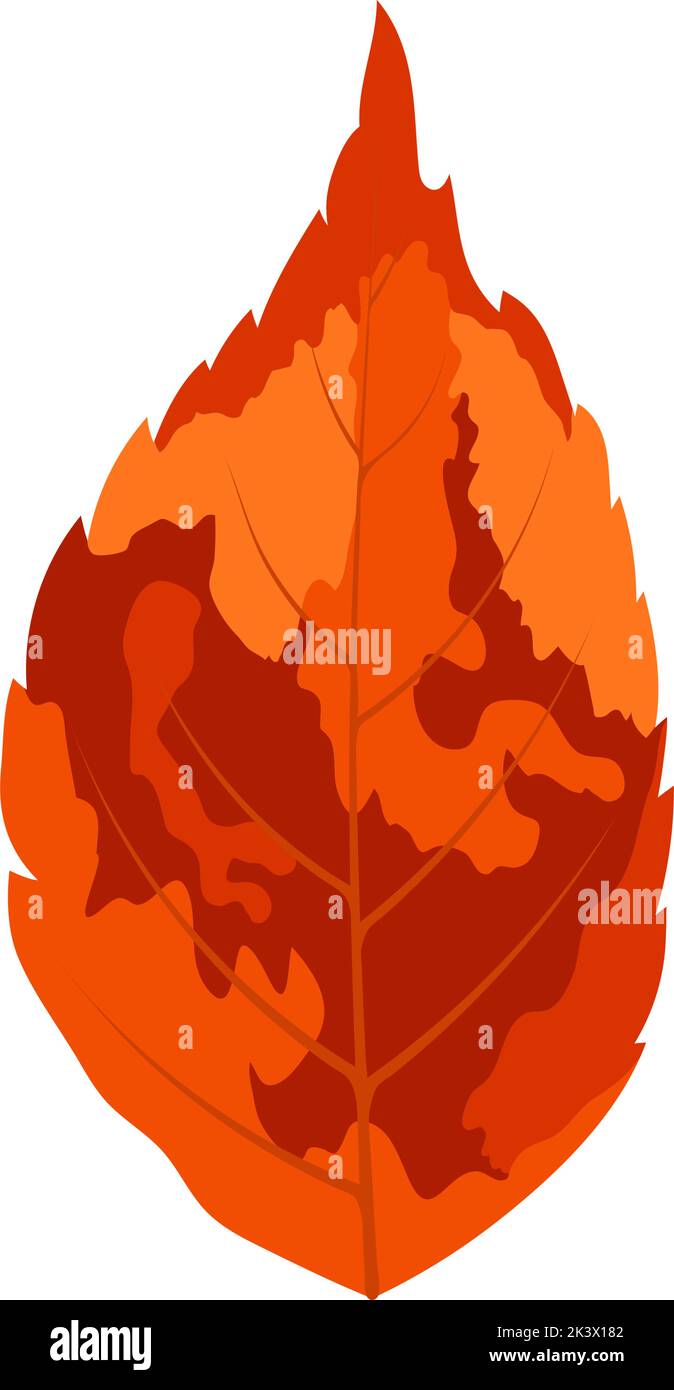 Autumn ash-tree leaf. Leaf fall. Vector illustration Stock Vector Image ...